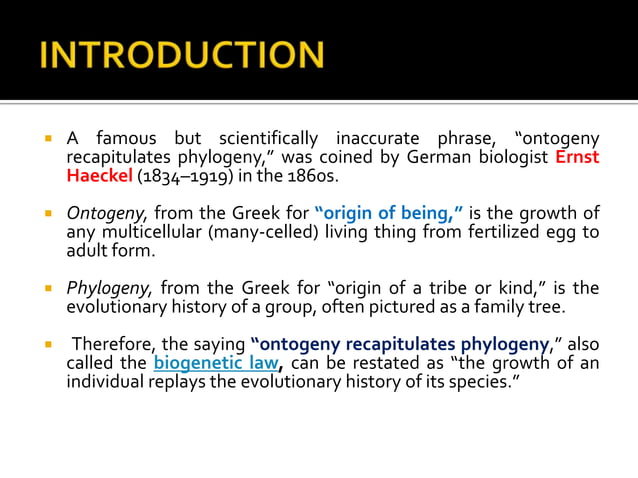PHYLOGENEY AND ONTOGENY.pptx