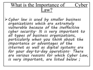 Cyber Law and IT act.pptx