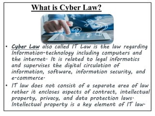 Cyber Law and IT act.pptx