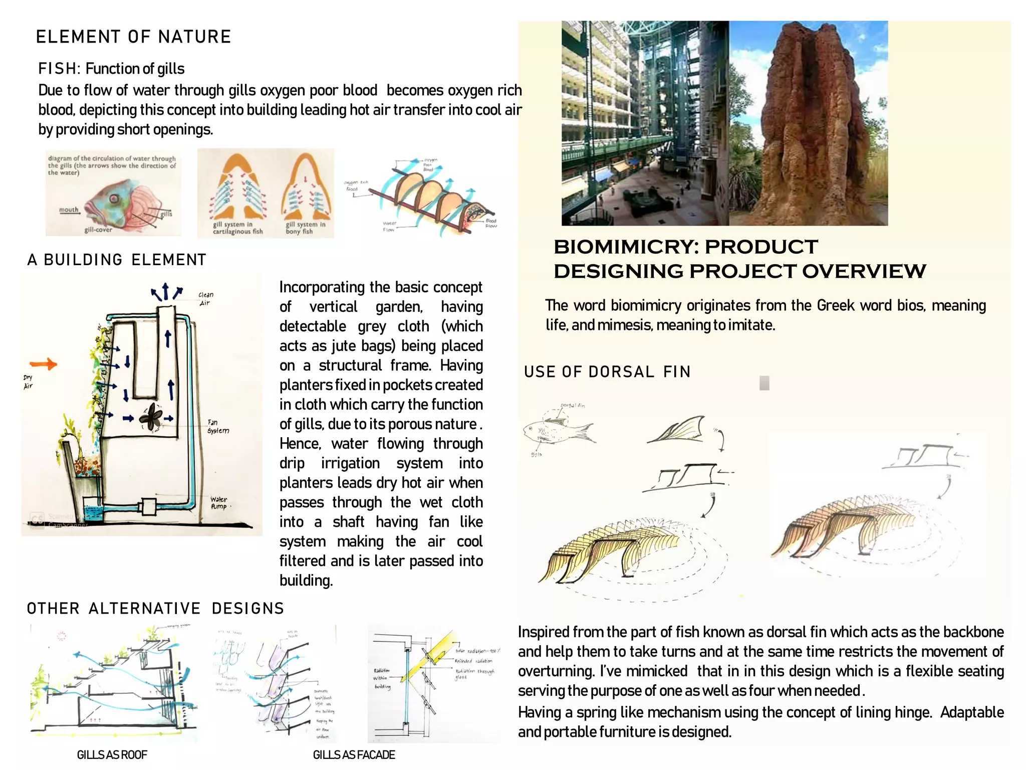 Divya deshmukh | PDF | Interior Decorating | Home & Garden