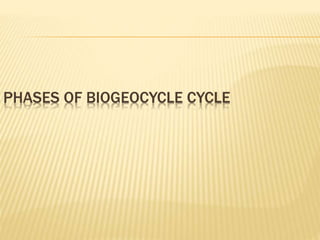 Divya jk | PPTX | Chemistry | Science