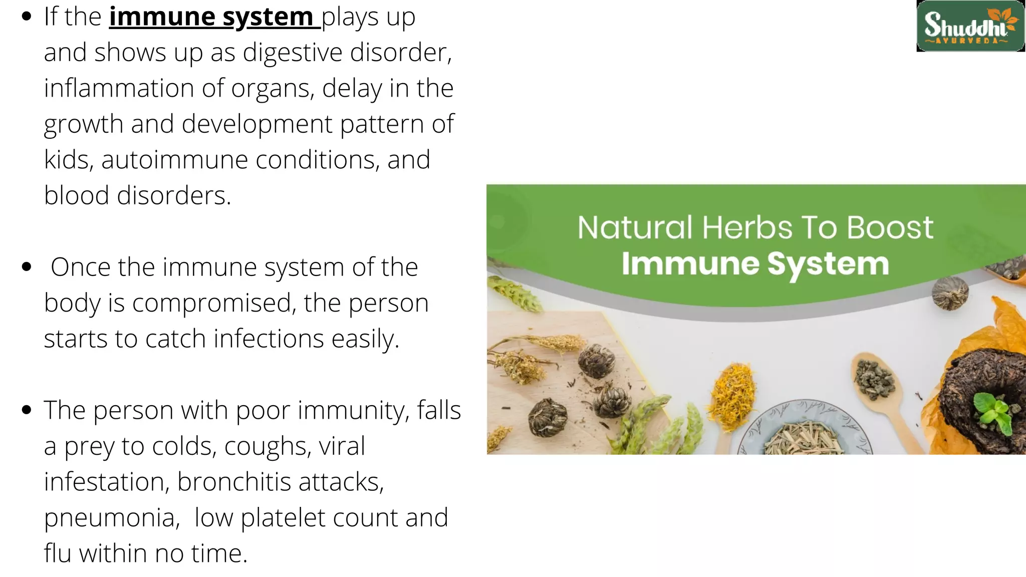 Divya kit review and test | PPT