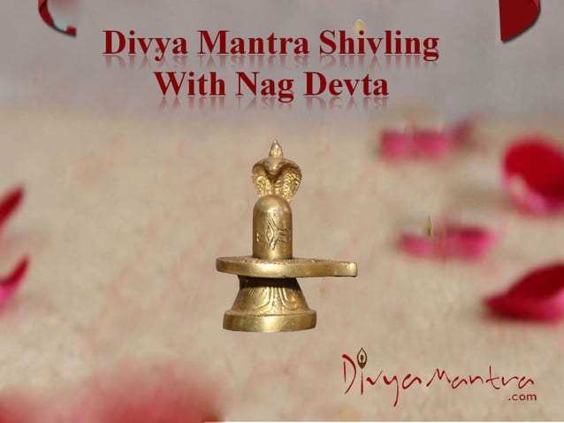 Divya mantra shivling with nag devta | PPT