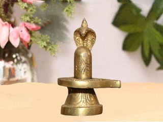 Divya mantra shivling with nag devta | PPT