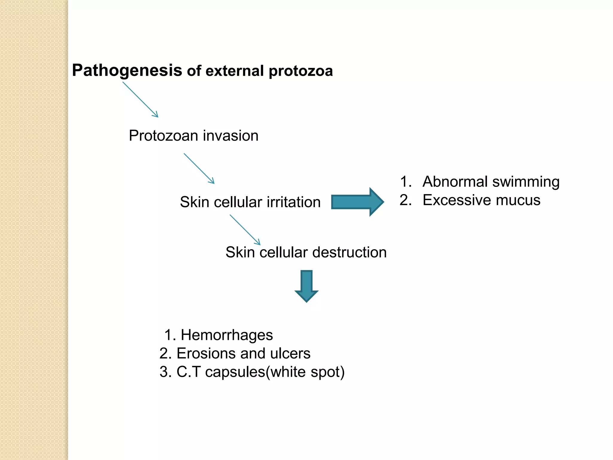 Pathogenicity Mechanism of Parasites | PPTX