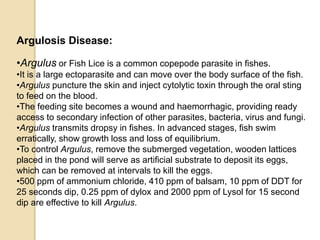 Pathogenicity Mechanism of Parasites | PPTX