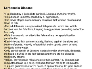 Pathogenicity Mechanism of Parasites | PPTX