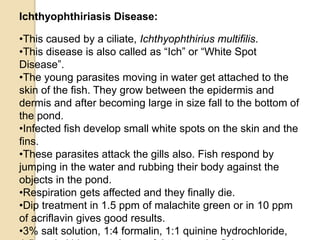 Pathogenicity Mechanism of Parasites | PPTX