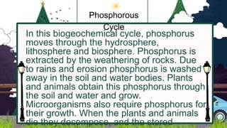 biogeochemical cycle for standard 9 students | PPT