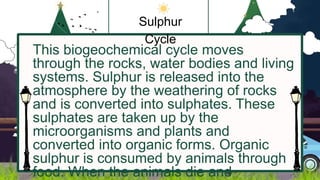 biogeochemical cycle for standard 9 students | PPT