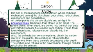 biogeochemical cycle for standard 9 students | PPT