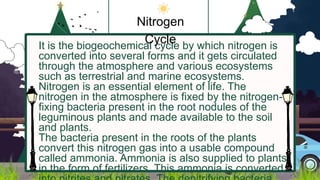 biogeochemical cycle for standard 9 students | PPT