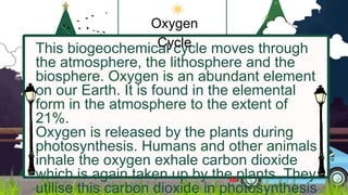 biogeochemical cycle for standard 9 students | PPT