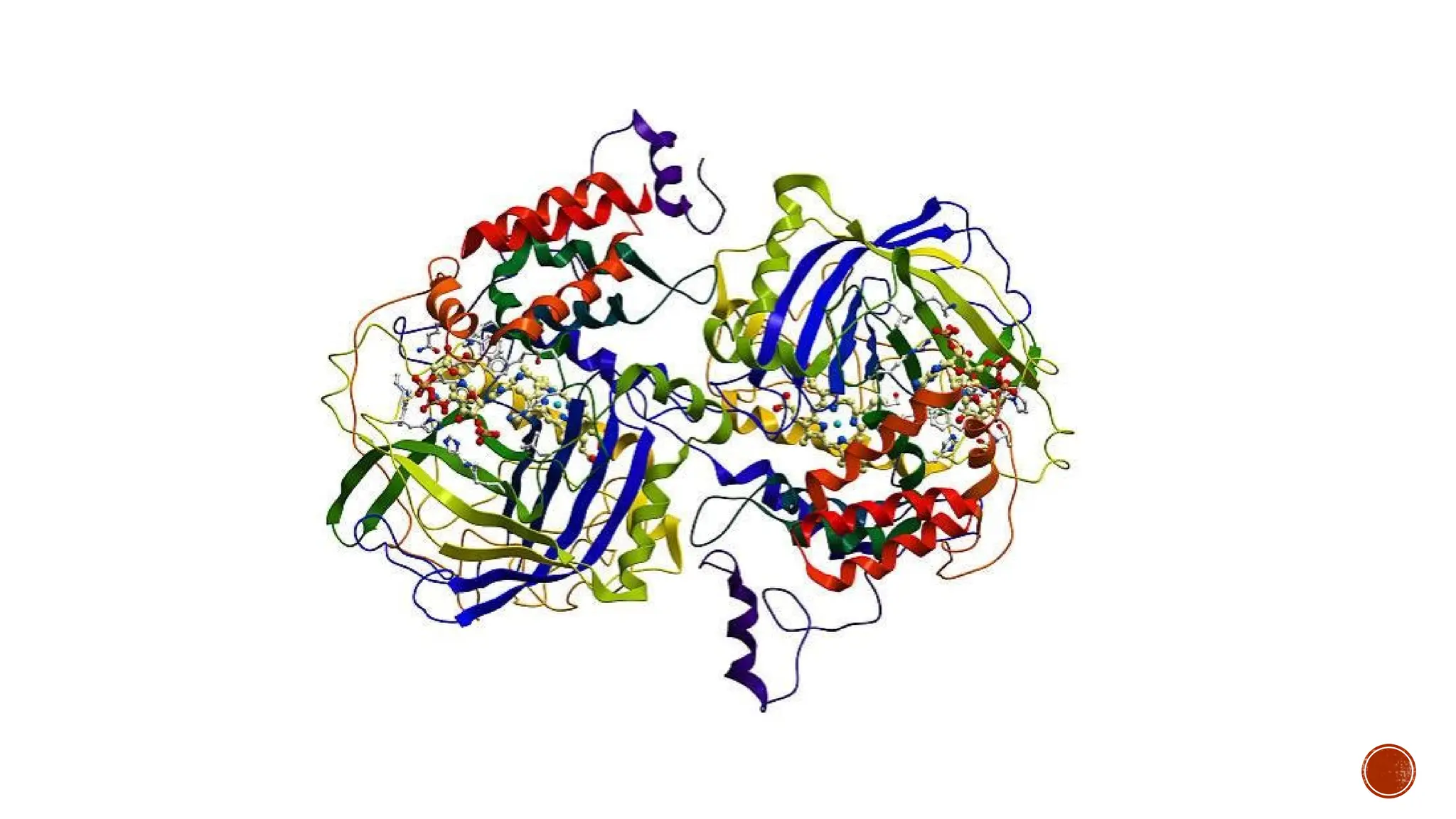 Enzyme substrate complex.pptx Divyanshu Alawe - | PPTX