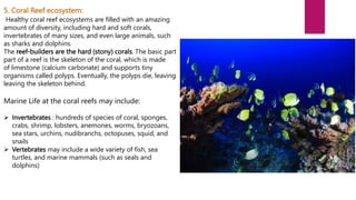 Aqauatic systems adaptation.pptx