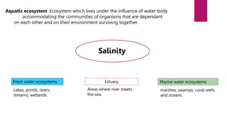 Aqauatic systems adaptation.pptx