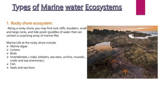 Aqauatic systems adaptation.pptx