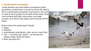 Aqauatic systems adaptation.pptx