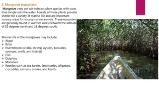 Aqauatic systems adaptation.pptx