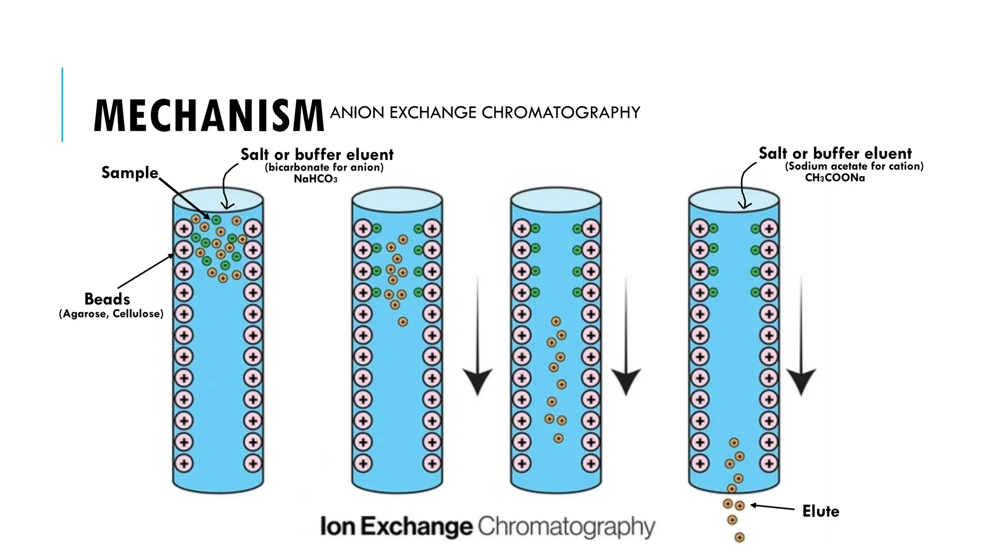 Ion exchange chromatography & Their Principle or classification with ...