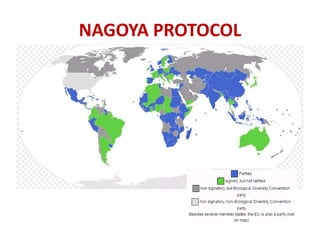 National and international protocol for plant genetic resource ...