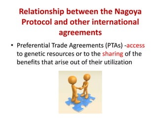 National and international protocol for plant genetic resource ...