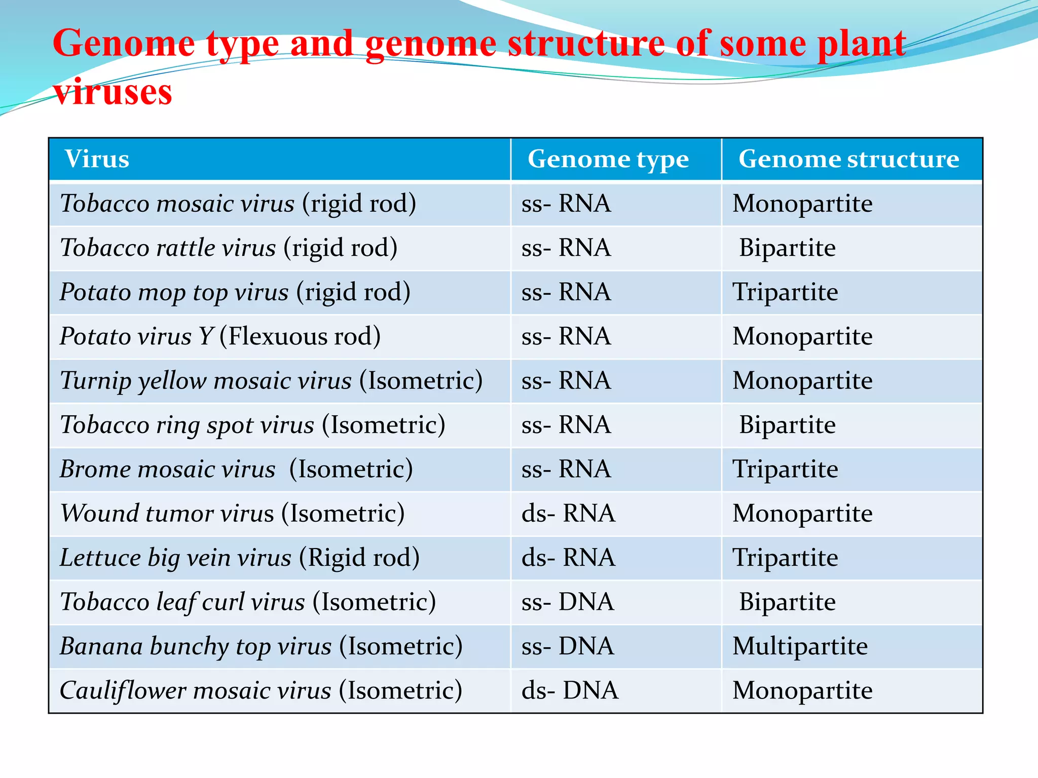 Structure and composition of plant viruses | PPTX