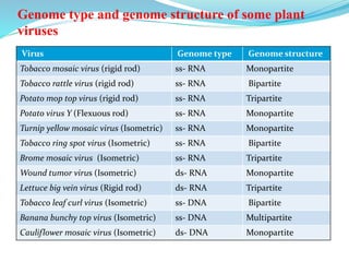 Structure and composition of plant viruses | PPTX