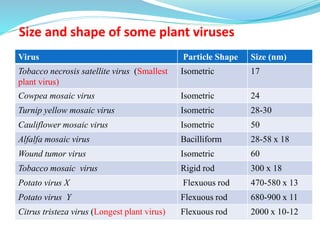 Structure and composition of plant viruses | PPTX