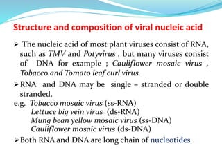 Structure and composition of plant viruses | PPTX