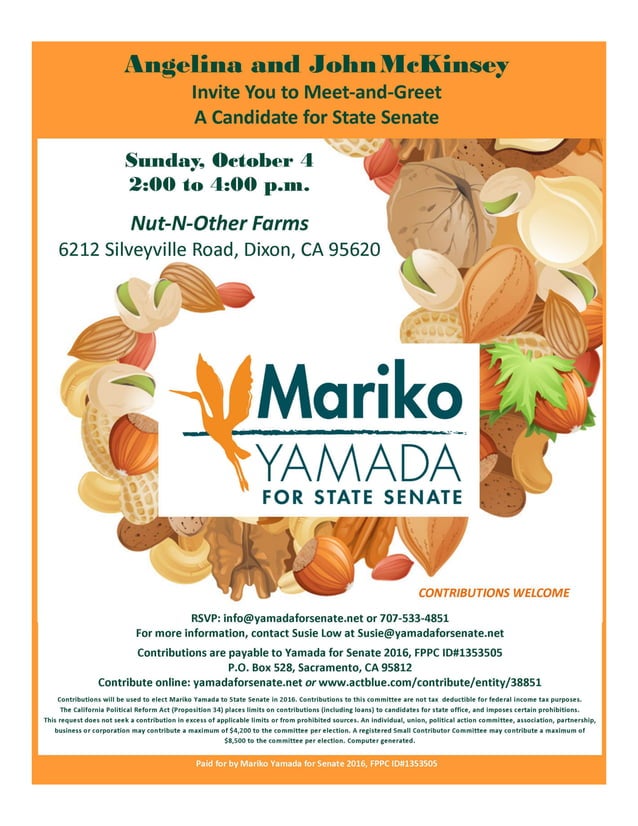 Flyer - State Senate Campaign | PDF