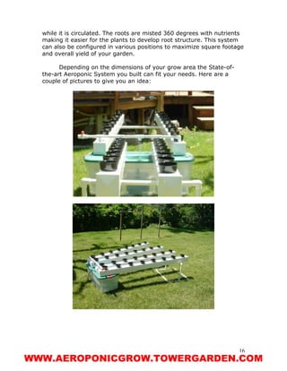 DIY Aeroponic System Guide | PDF
