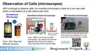 DIY cell culture manual (& the roadmap to DIY cell-based meat) | PDF ...