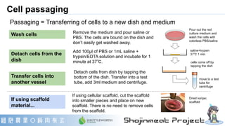 DIY cell culture manual (& the roadmap to DIY cell-based meat) | PPT