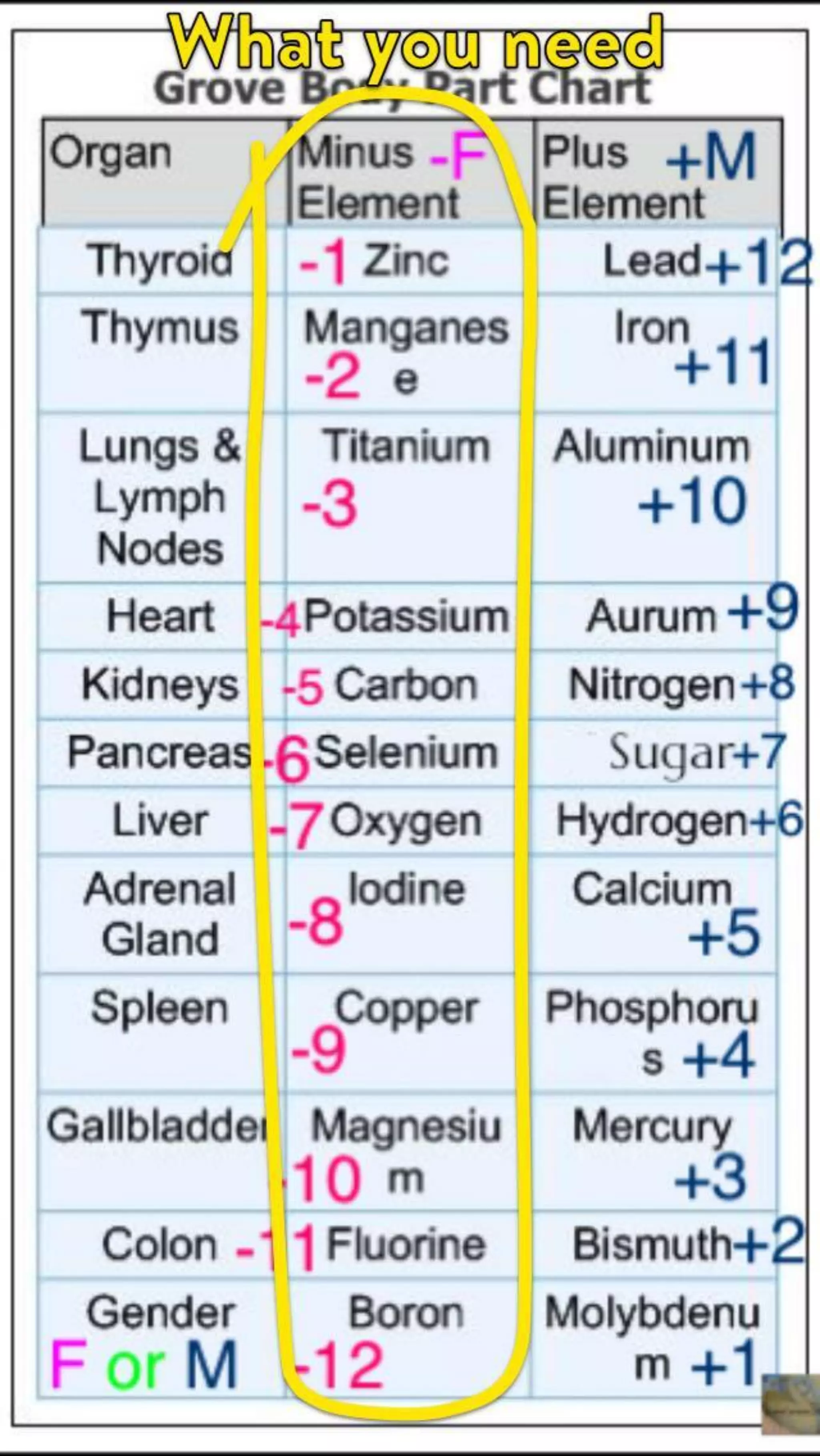 Diy diagnostic imaging! | PDF | Cancer | Diseases and Conditions