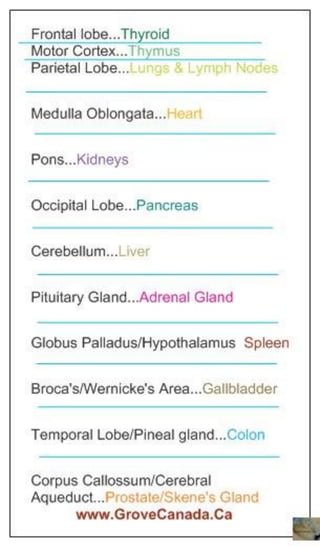Diy diagnostic imaging! | PDF