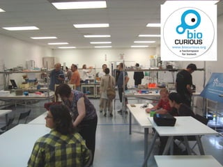 DIY Diagnostics | PPT