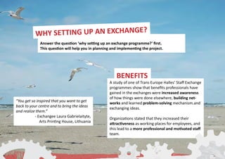 Set up a Staff Exchange Programme | PDF