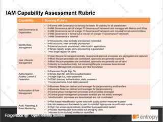 Developing an IAM Roadmap that Fits Your Business | PPTX
