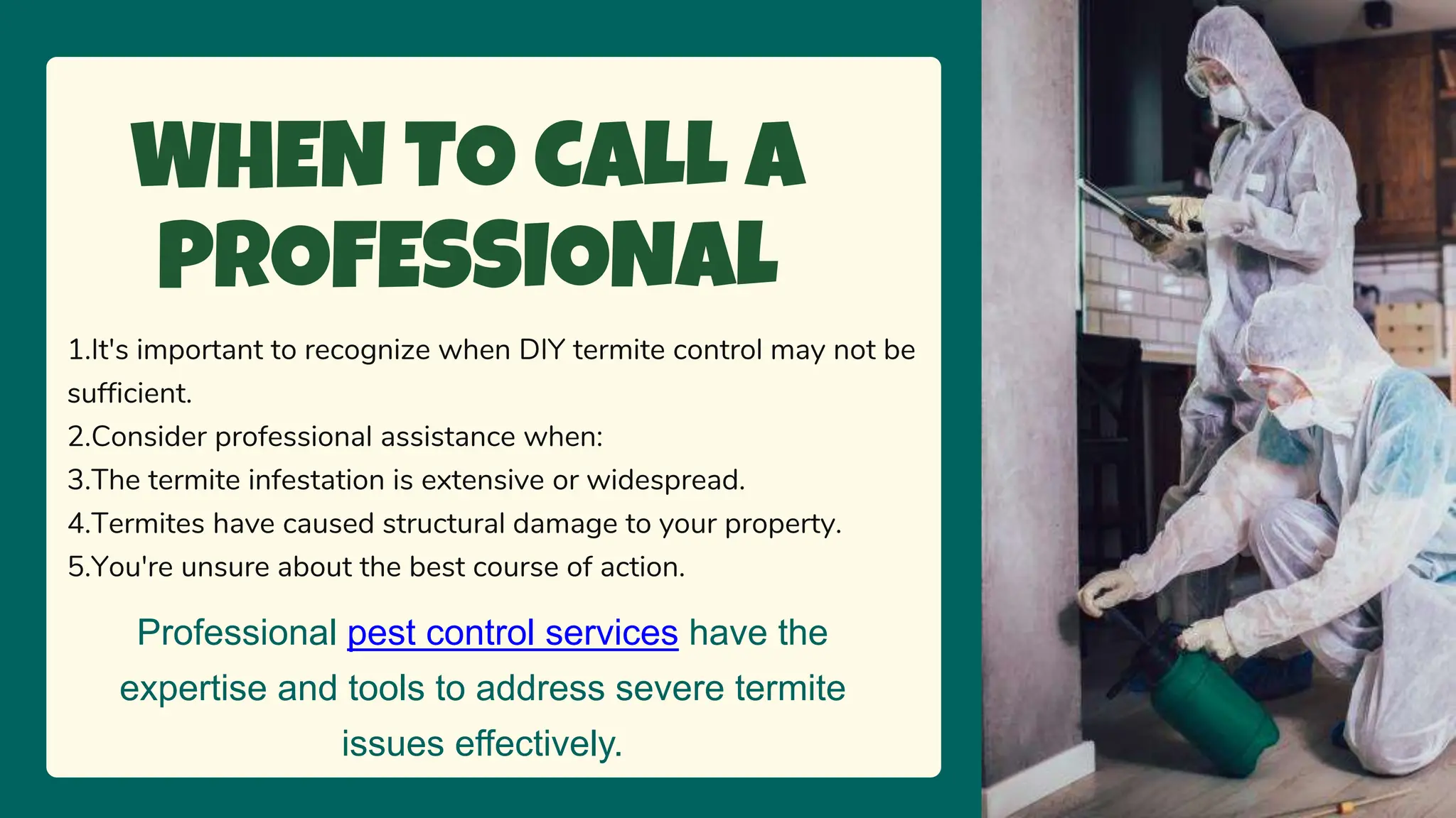 DIY Termite Treatment at Home | PPT