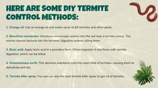 DIY Termite Treatment at Home | PPT
