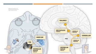 DIZZINESS & VERTIGO evaluation of dizzy patient | PPTX