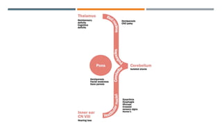 DIZZINESS & VERTIGO evaluation of dizzy patient | PPTX