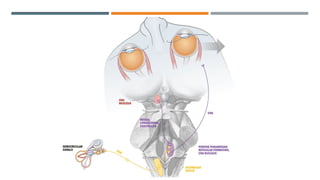 DIZZINESS & VERTIGO evaluation of dizzy patient | PPTX