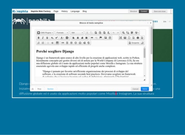 Django cms best practices