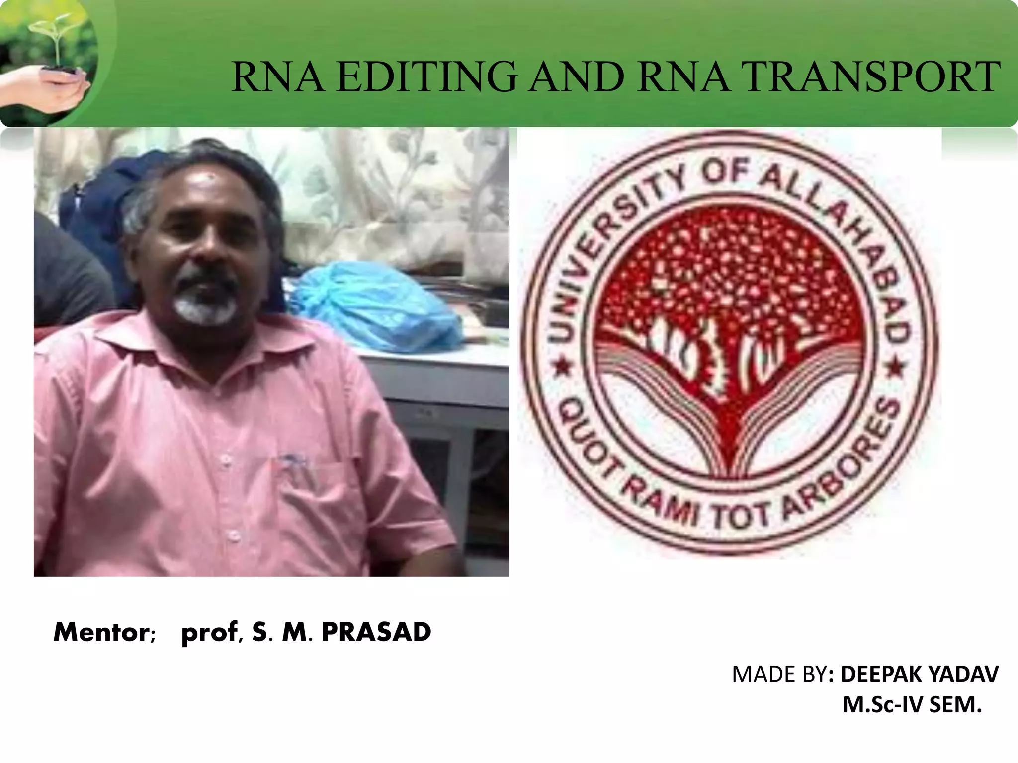 Rna editing1 | PPTX | Programming Languages | Computing