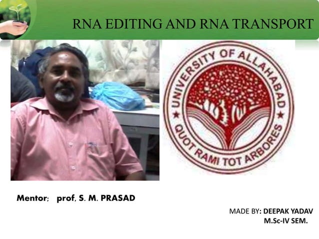 Rna editing1 | PPTX | Programming Languages | Computing