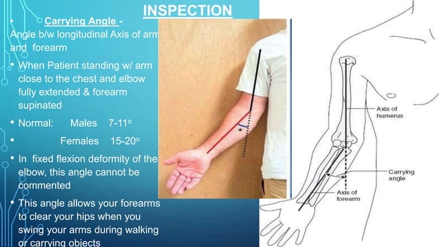 Elbow examination and its clinical applied | PPT