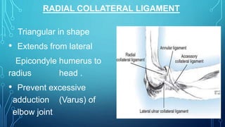 Elbow examination and its clinical applied | PPTX