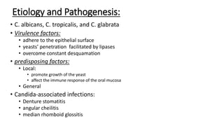 3rd lecture fungal infection | PPTX